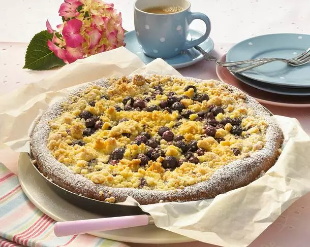 Bosbessie-krummelkoek resep