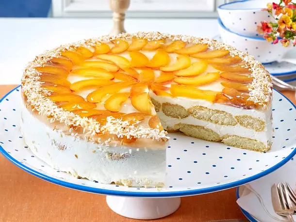 Yskaskoek met appelkose resep 3671_1