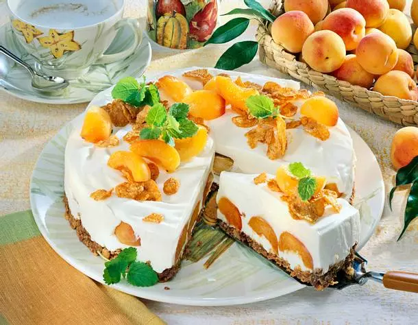 នំទឹកដោះគោជូរ Apricot ជាមួយរូបមន្តមូលដ្ឋានគ្រាប់ធញ្ញជាតិ 46312_1