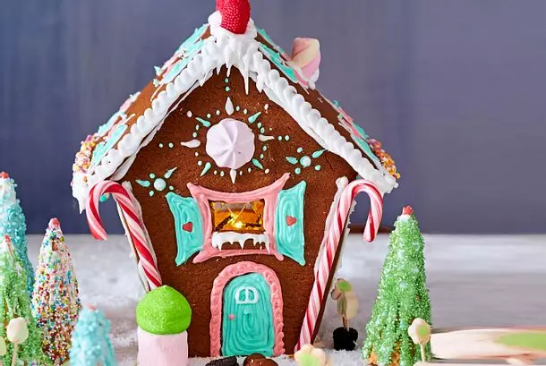 Gingerbread dream house recipe 47512_1